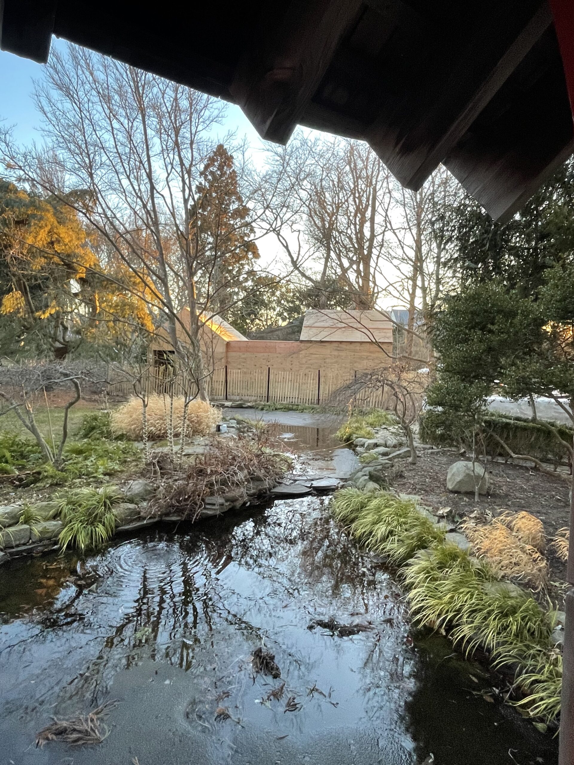 Something new at Madoo | Southforker