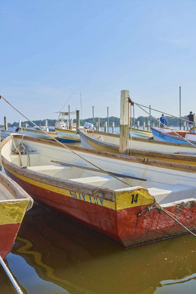 Southforker Stories: Spend your summer days at Silly Lily | Southforker