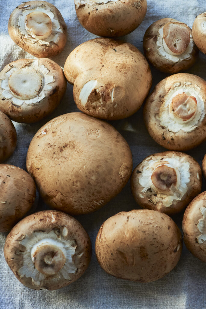 Cook This Now! Slow cooker beef & mushroom stew | Southforker