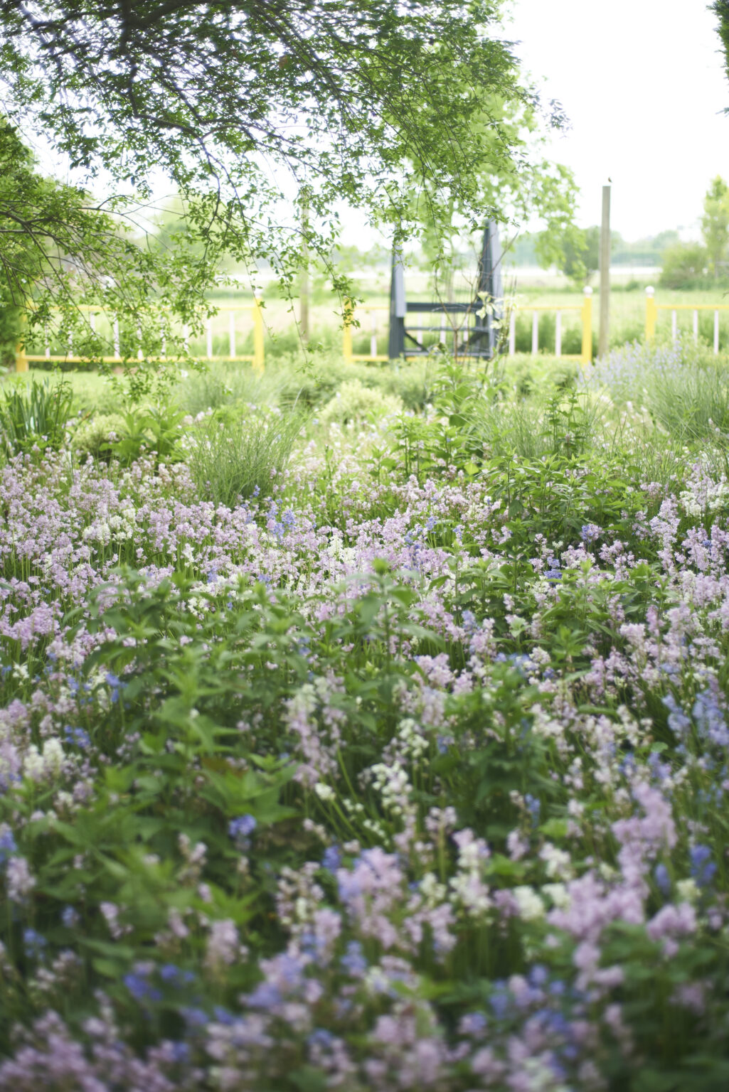 Things to do in June | Southforker