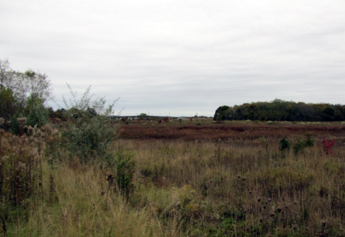 Does Riverhead Town have to readopt its master plan? - Riverhead News ...
