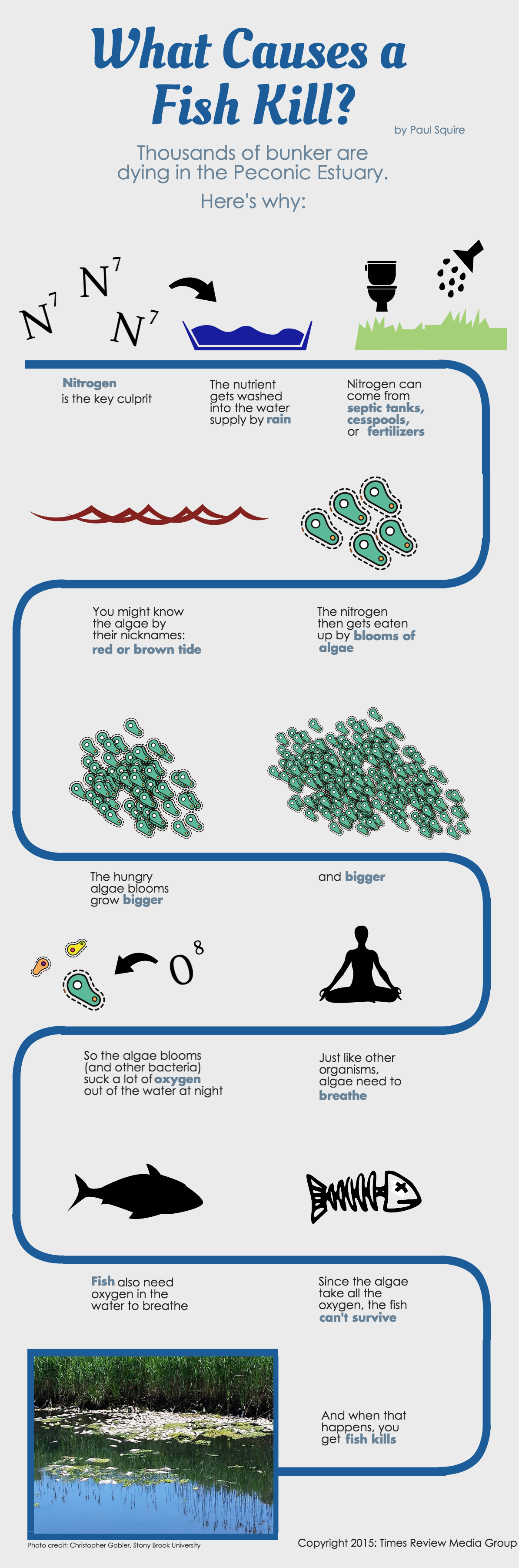 Riverhead Town holds off on fish kill cleanup after high tide ...