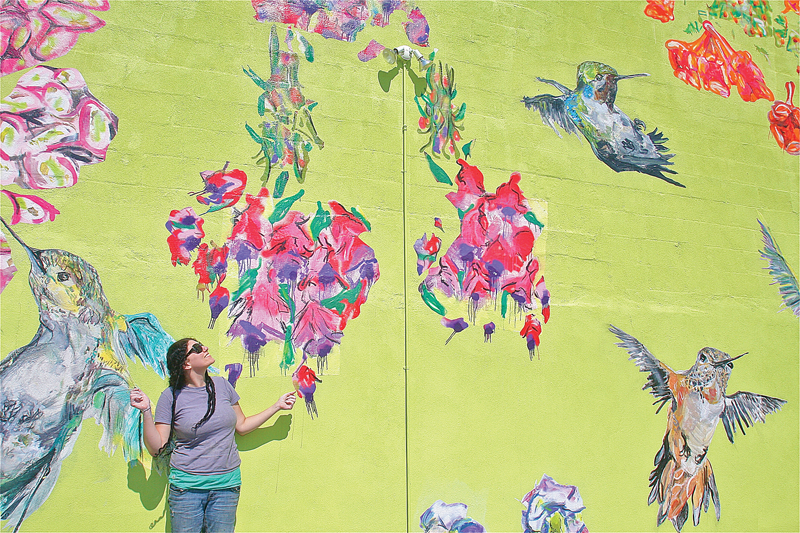 Artist launches Facebook page to save hummingbird mural downtown ...