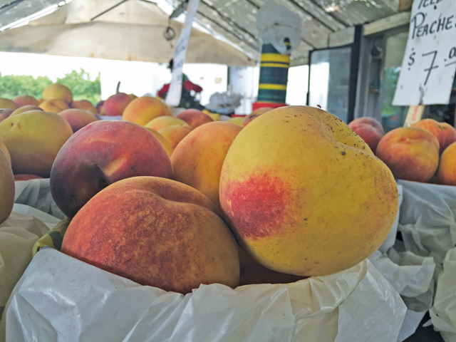 Davis Peach Farm in contract, to remain agricultural - Riverhead News ...