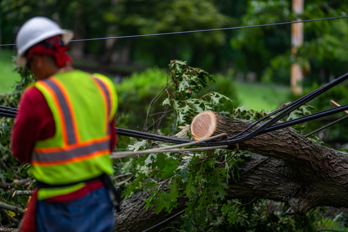 PSEG Long Island says it will reimburse storm victims for spoiled food ...