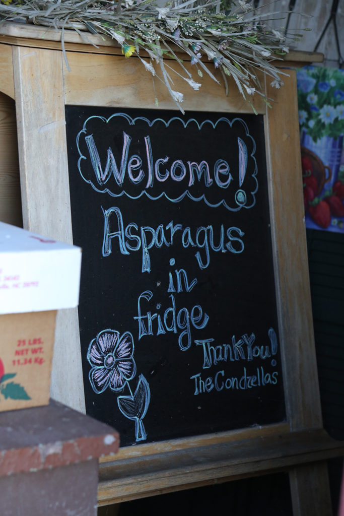 Condzella’s Farm in Wading River partners with Peconic Land Trust for ...