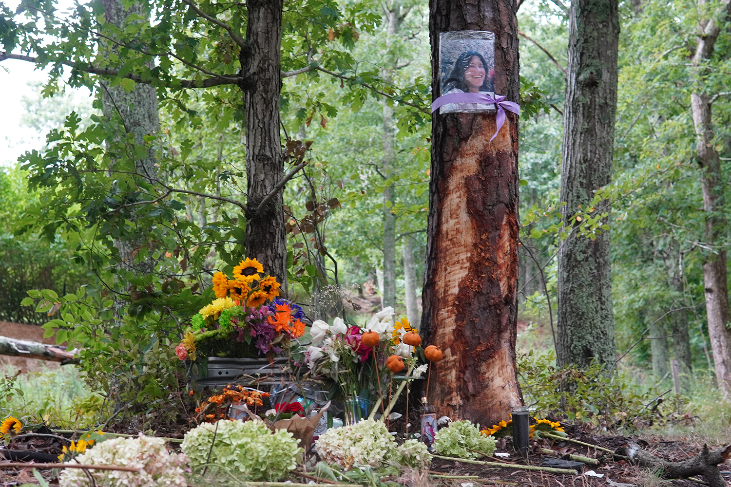 Daily Update: Highlights from Riverhead music festival, Crash victim ...