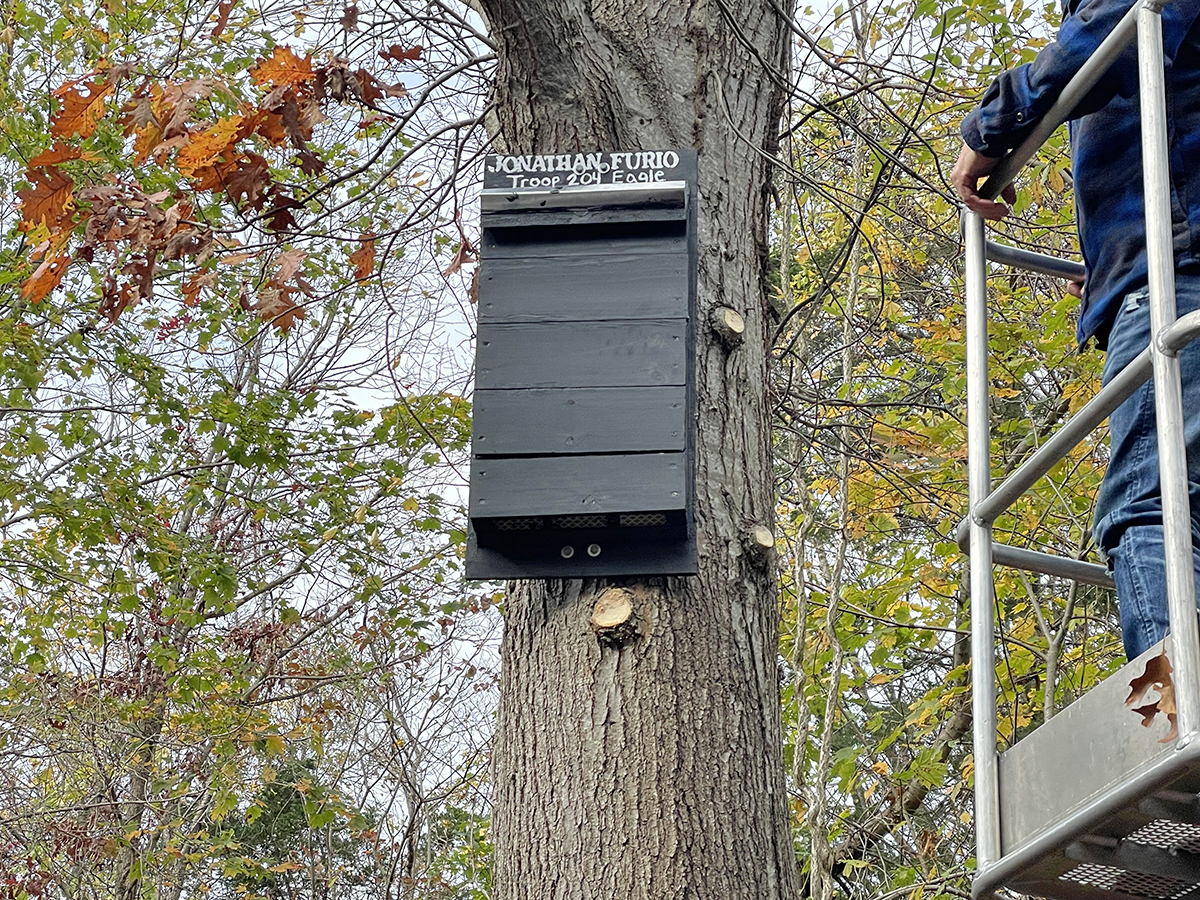 Riverhead Boy Scout builds bat houses along Greenway Trail for Eagle ...