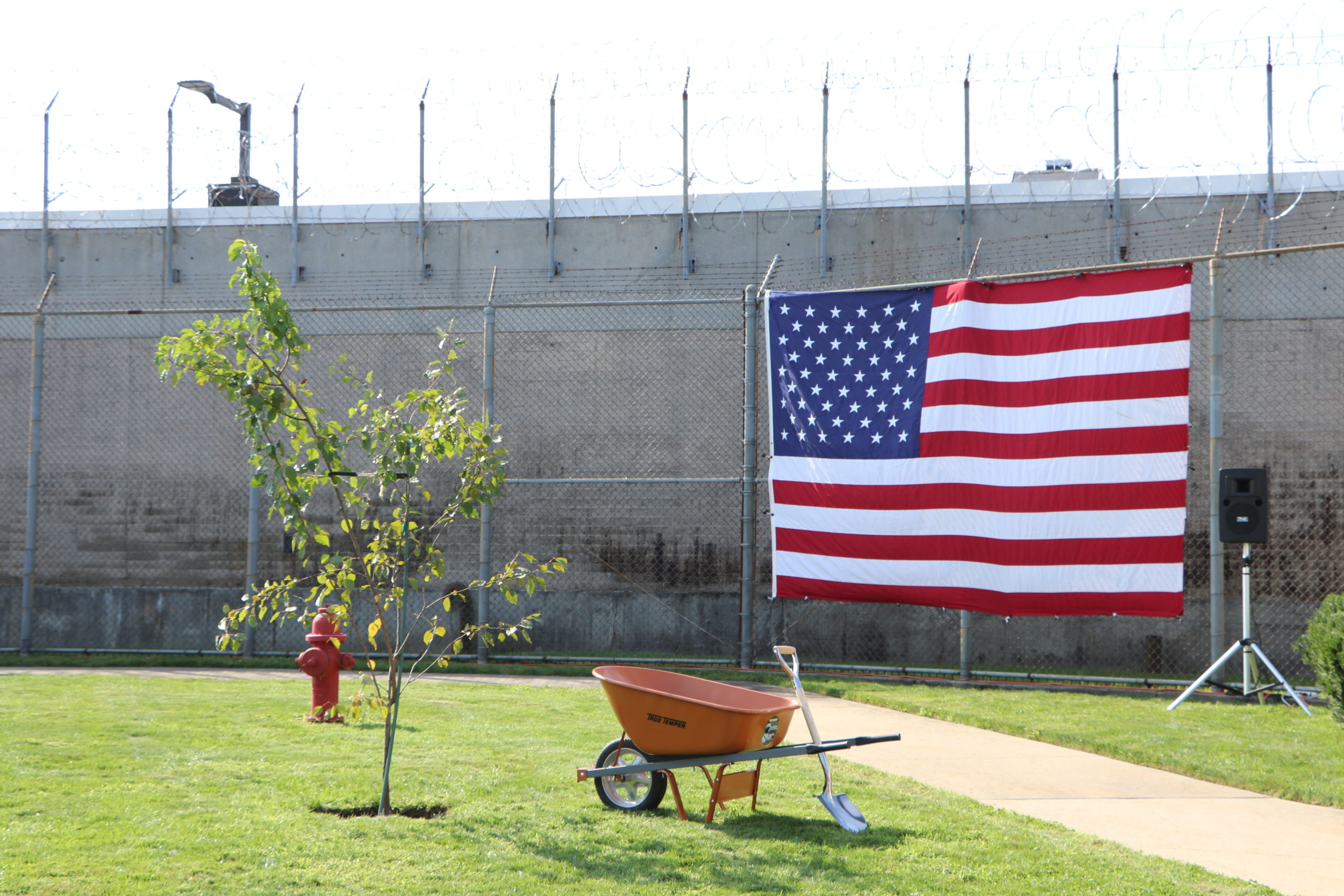 9/11 ‘Survivor Tree’ planted at Sheriff’s office in Riverhead ...