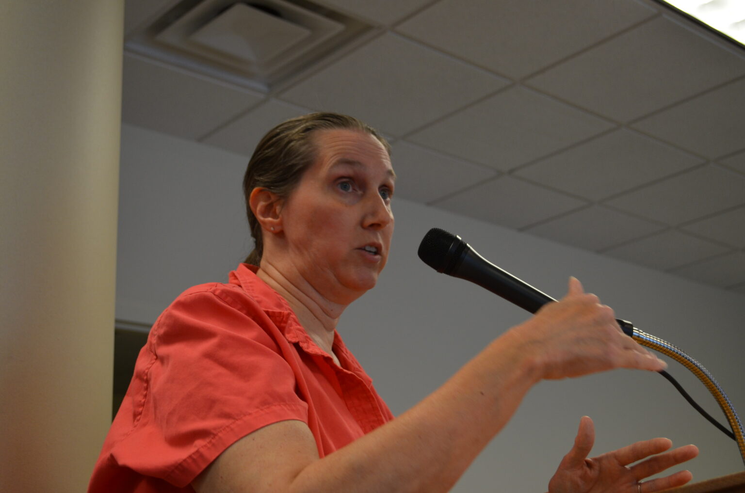 Charter school critics derail comp plan hearing - Riverhead News Review