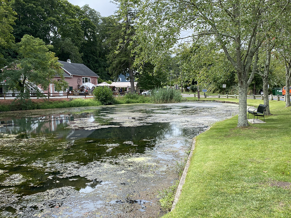Town seeks funding to repair Wading River Duck Pond - Riverhead News Review
