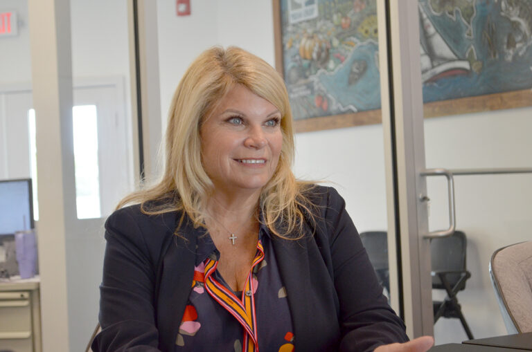 Election 2024: Meet the candidates: State Assembly District 2 - Jodi ...