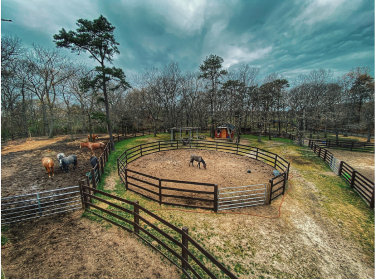 An oasis of support for youth in crisis at Timothy Hill Ranch ...