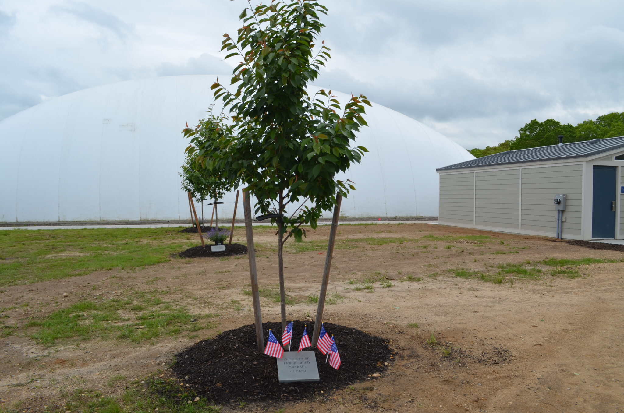 Town unveils new trees and bathrooms at Veterans Memorial Park ...