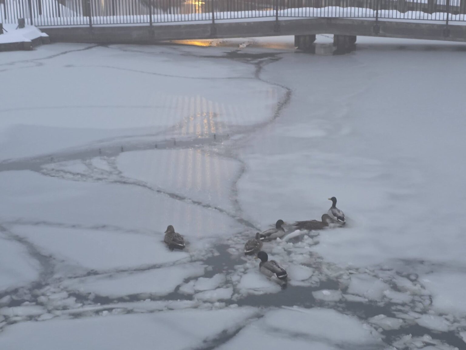 Massive storm dumps highest snowfall on Riverhead since 2022, schools ...