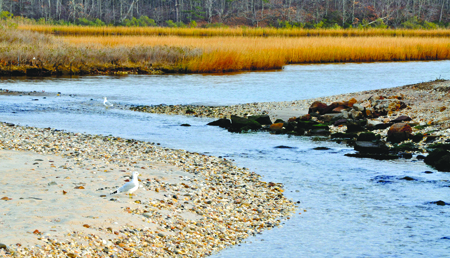 Town hires new firm for Goldsmith Inlet dredging plan - The Suffolk ...