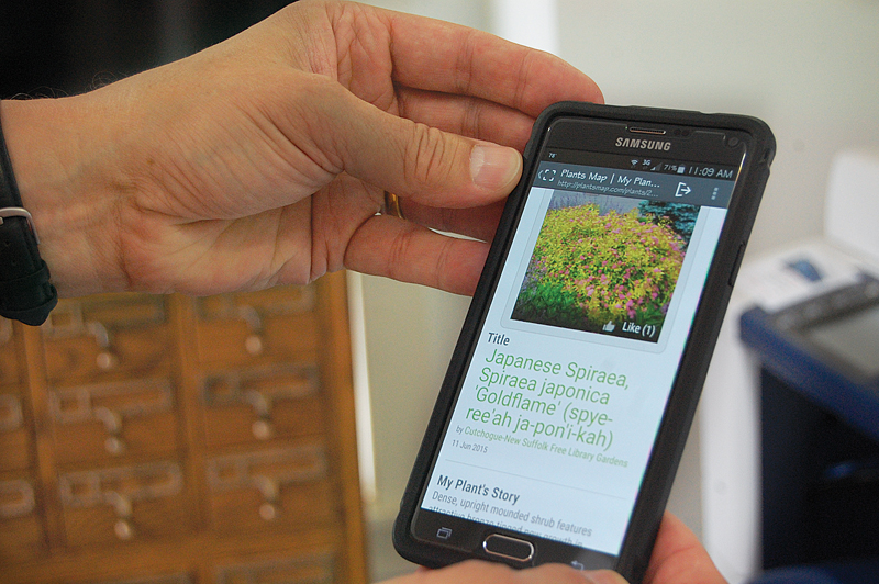 Check out Cutchogue-New Suffolk library’s new garden of technology ...