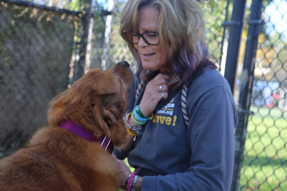 The Work We Do: Gina Lepine, North Fork Animal Welfare League - The ...