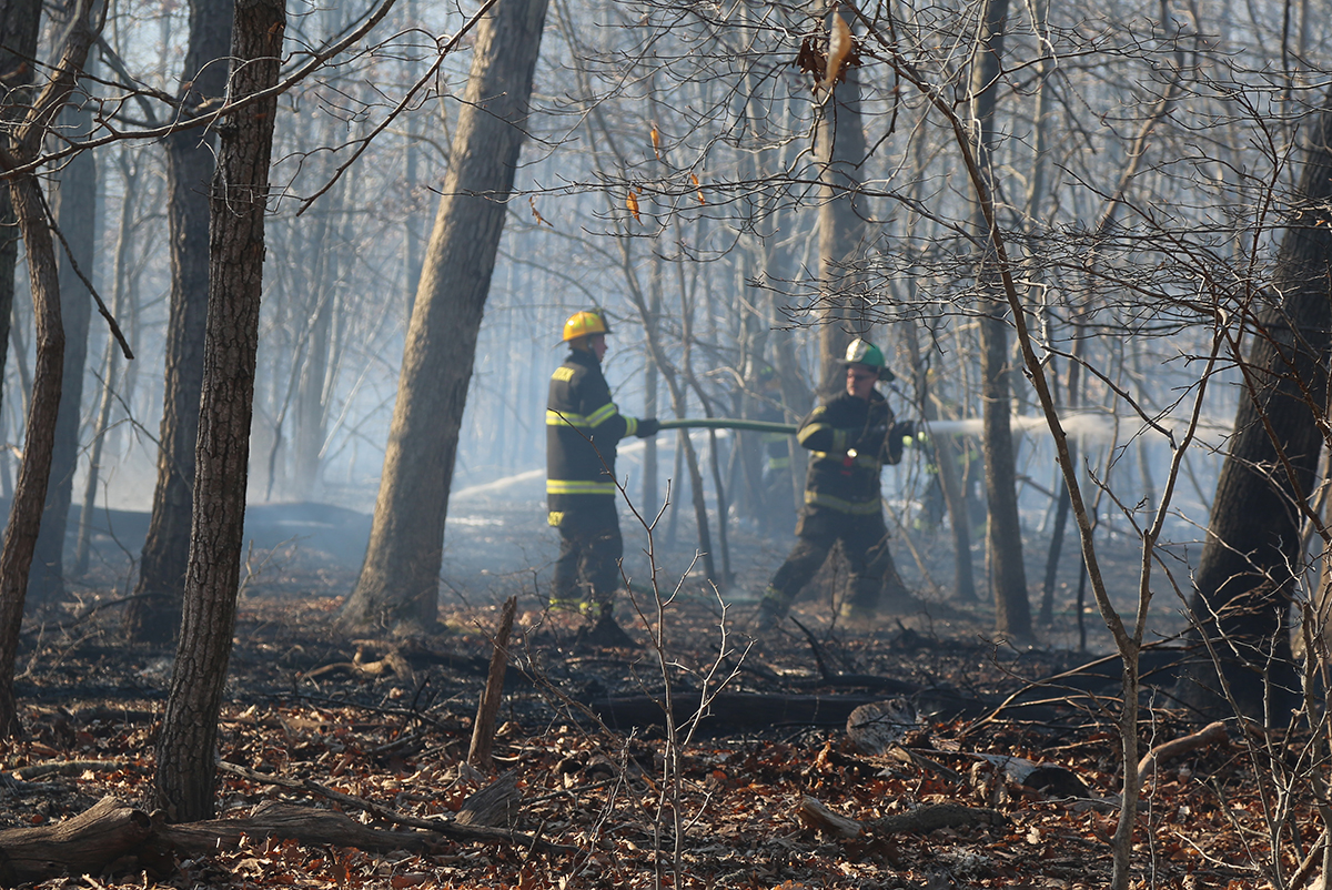 Brush fire reported in Mattituck - The Suffolk Times Archives