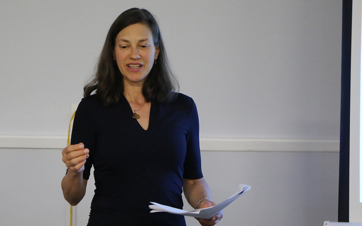 Editorial: An effort to ‘save what’s left’ in the sky - The Suffolk ...