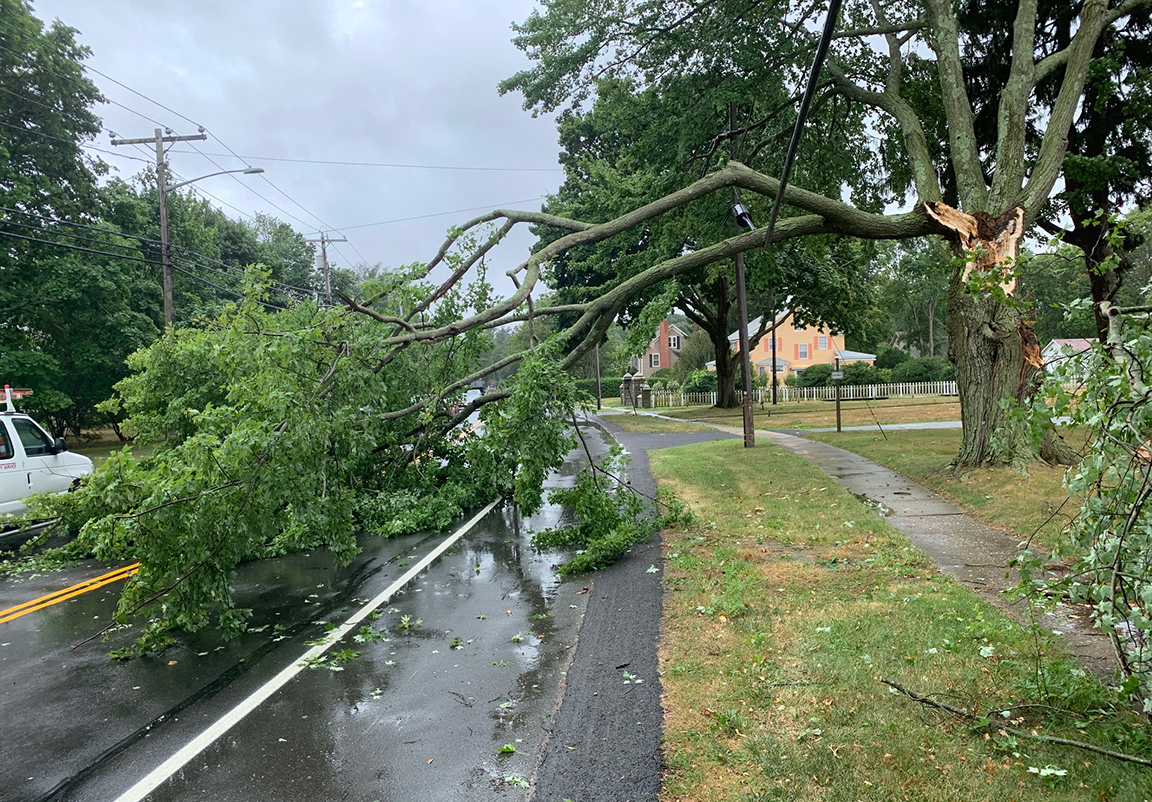 Tropical Storm Isaias topples trees, downs power lines - The Suffolk ...