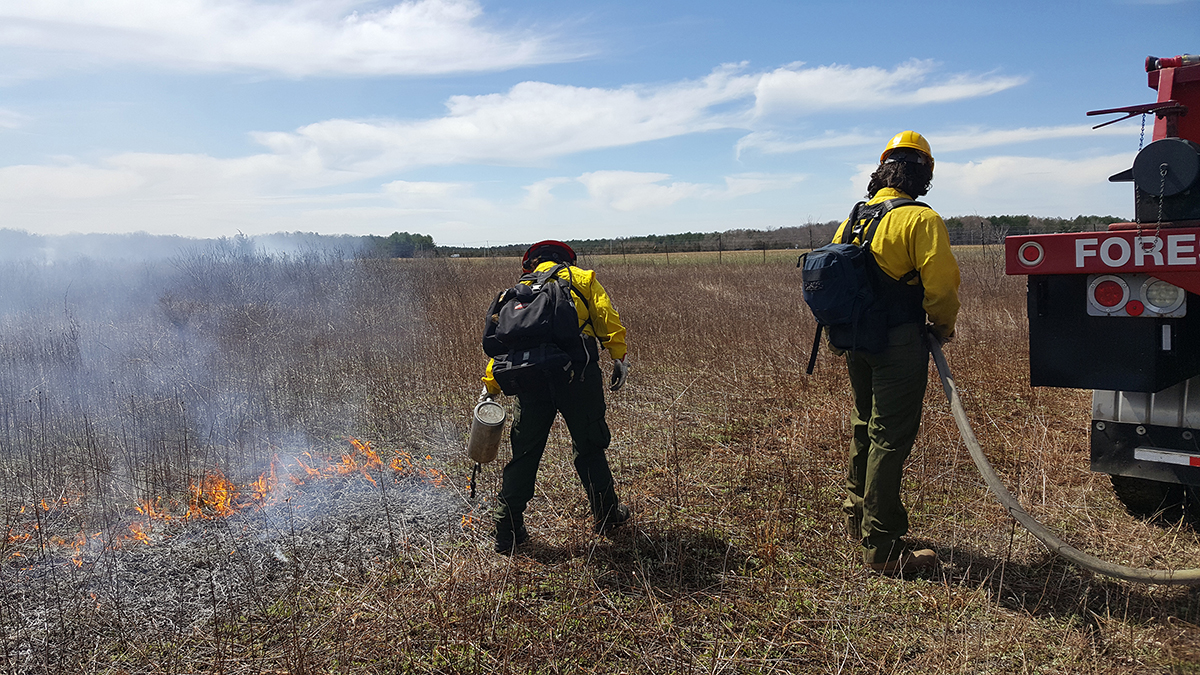 Fire management plan nearly 25 years in the making outlines how ...