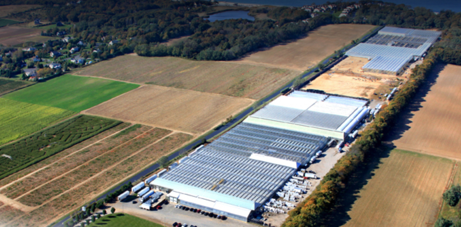 Cannabis company purchasing Riverhead greenhouse site for $42.5M - The Suffolk Times Archives