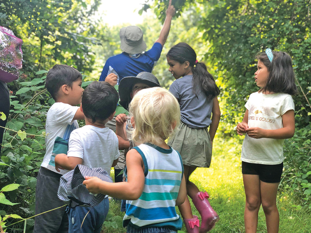 New forest school has Mother Nature as a teacher - The Suffolk Times ...