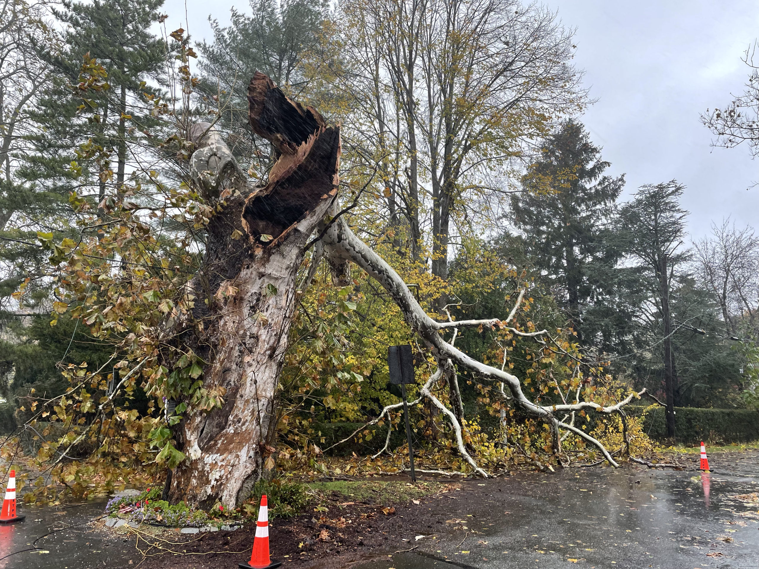 Power outages, downed trees reported as storm moves across the North ...