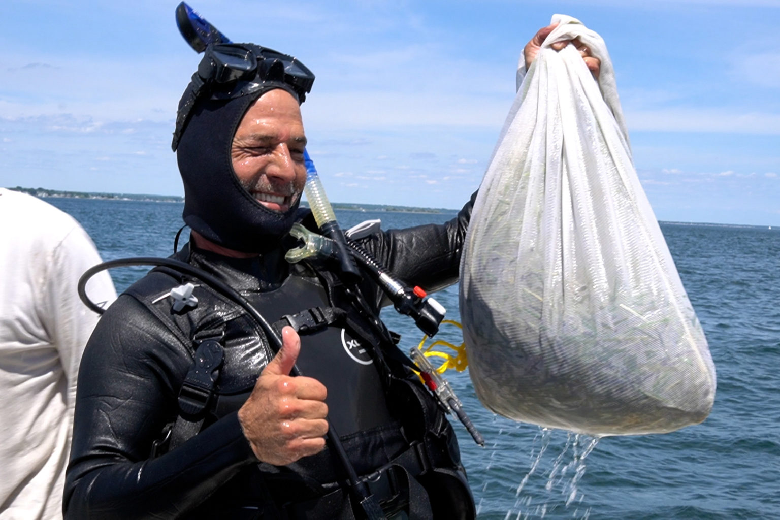 First phase of eelgrass restoration project completed in Long Island ...