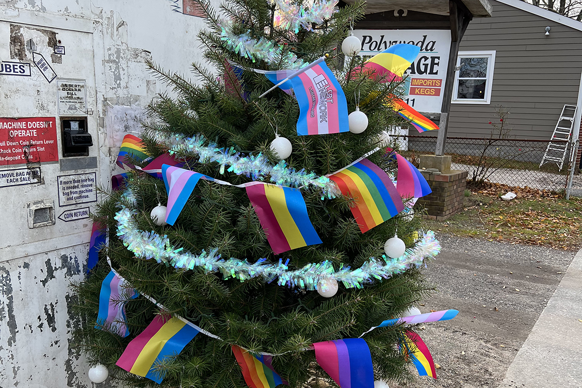 Outpouring of support after students' LGBTQ+ Christmas tree is ...