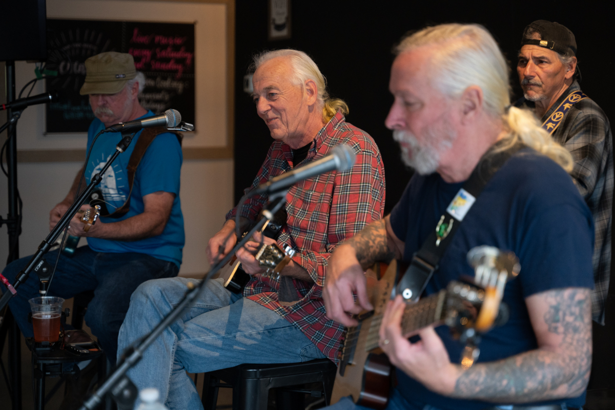 Meet the musicians behind ‘Who Are Those Guys,' who dominate live music ...