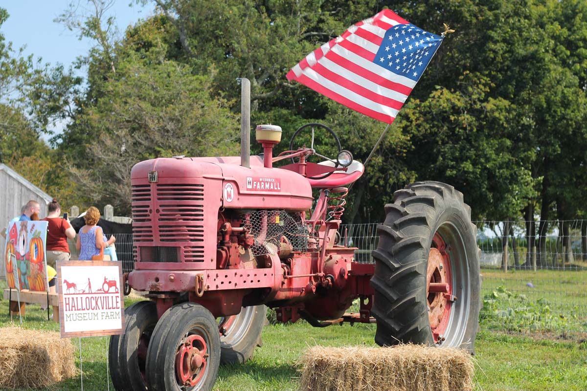Photos: 42nd annual Hallockville Museum Farm Country Fair - The Suffolk ...