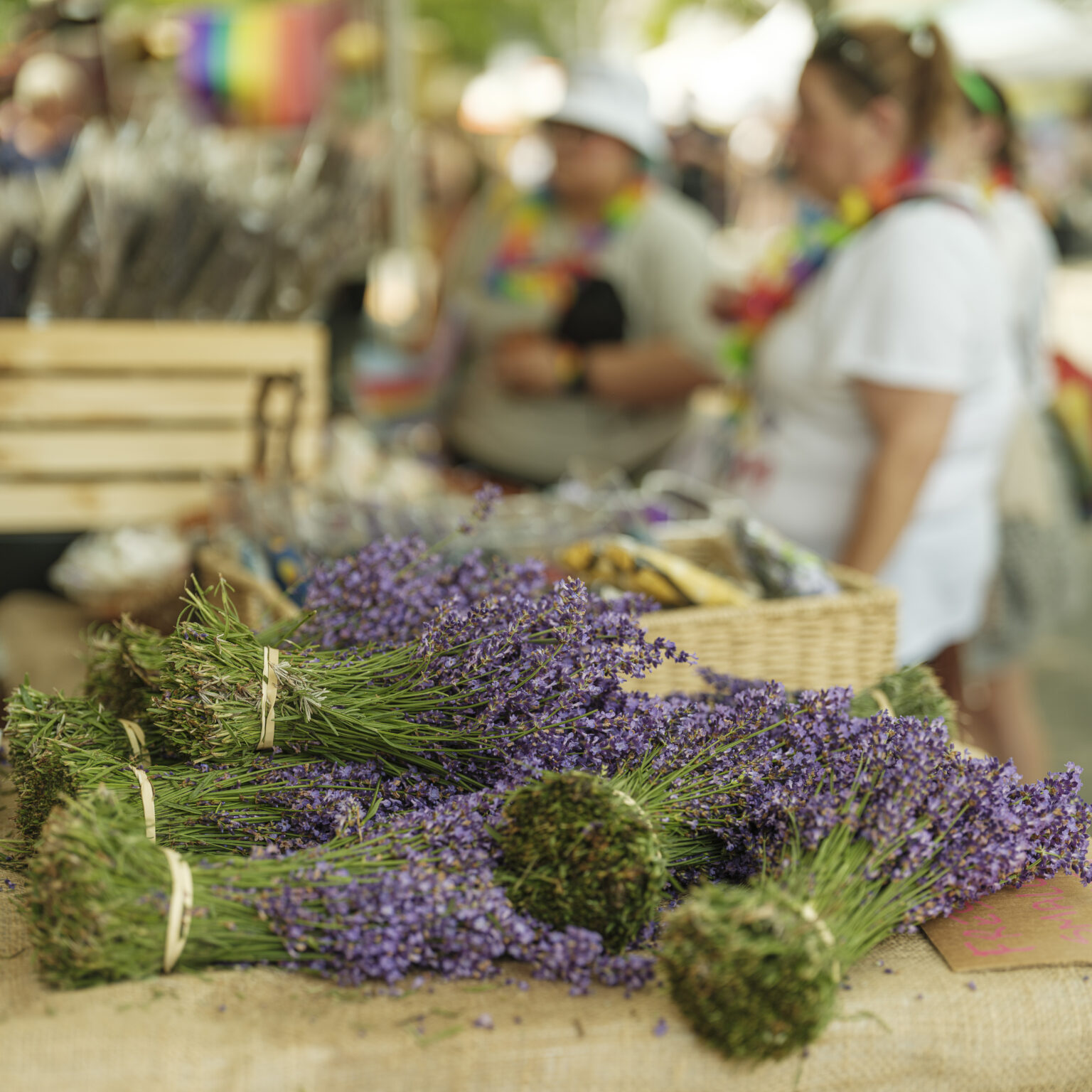 Multimedia: North Fork Pride 2024, Greenport - The Suffolk Times