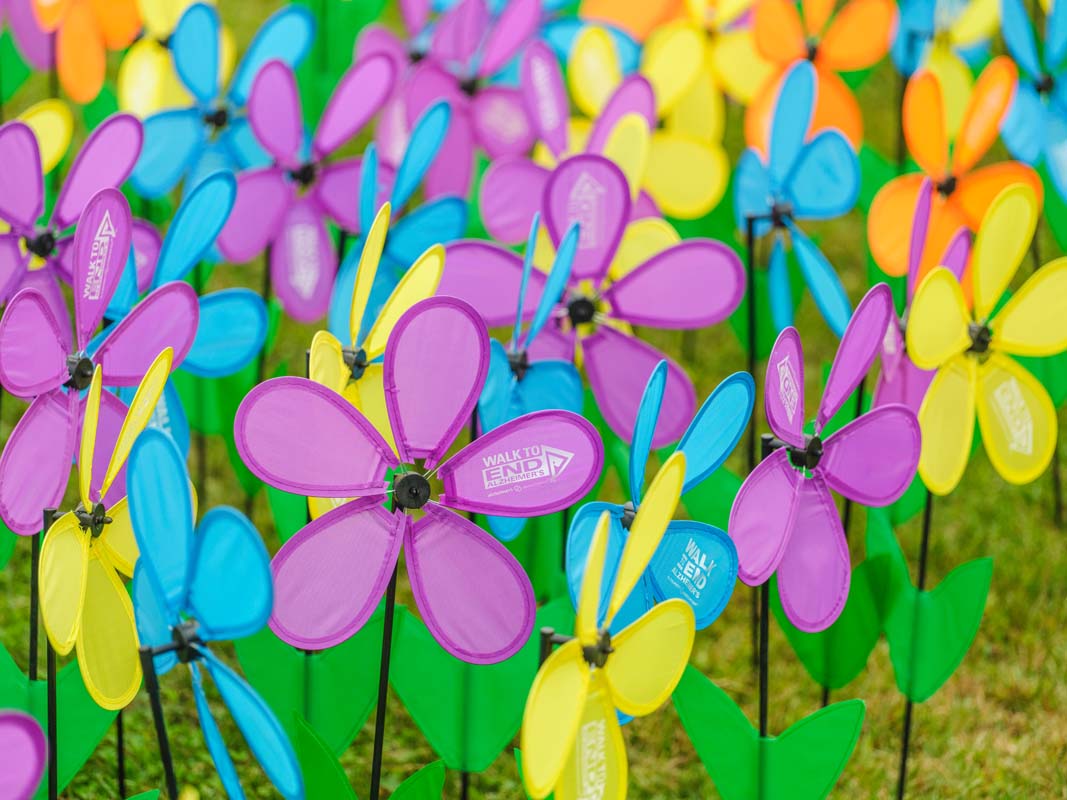 Daily Update: Ending Alzheimer's, one step at a time