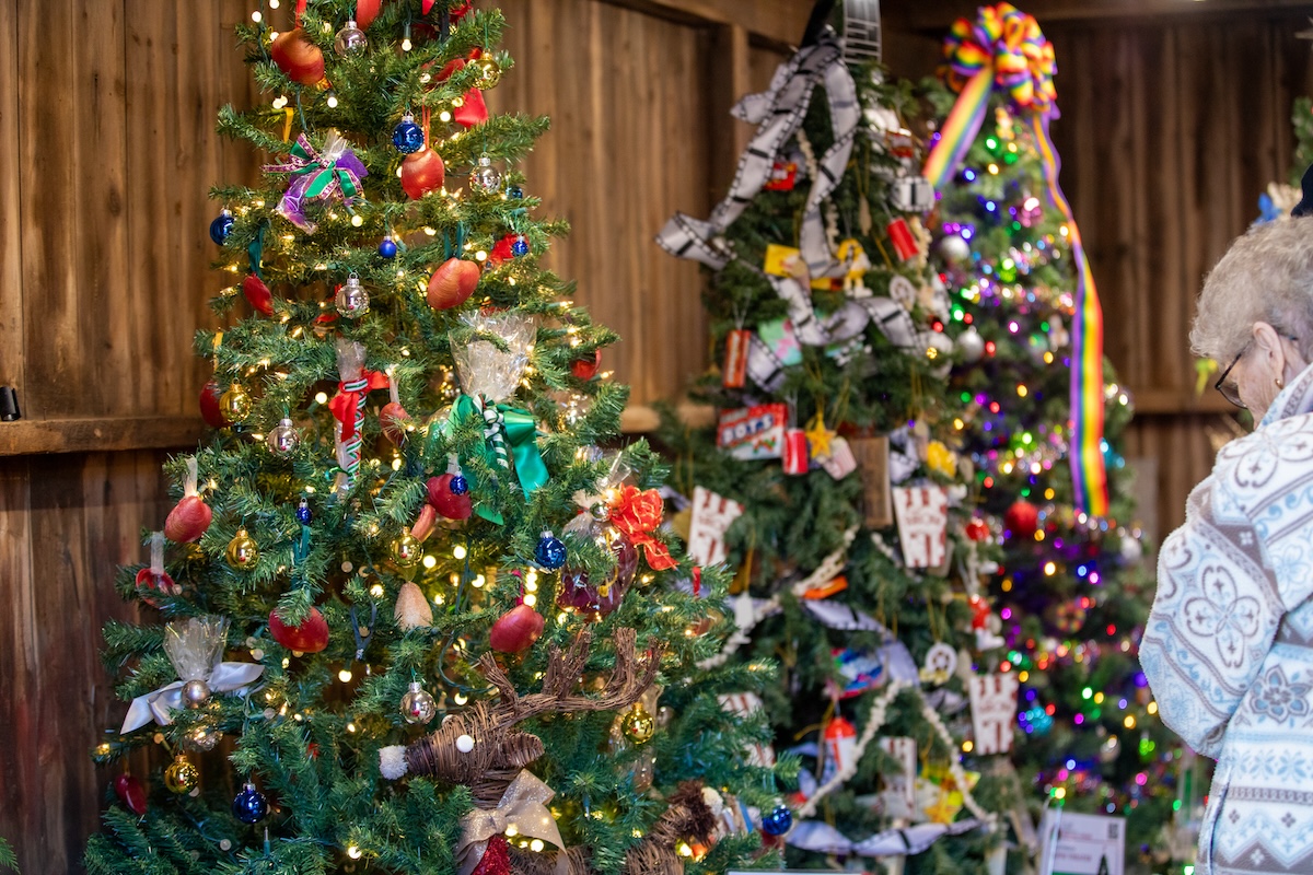 Photos: CAST's 5th Annual Festival of Trees lights up Treiber Farms in ...