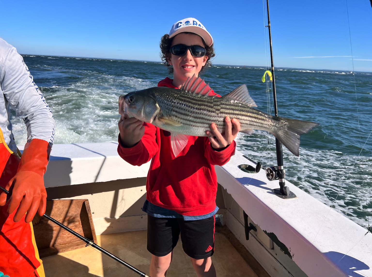 Daily Update: Striped bass regulations to remain unchanged - The ...