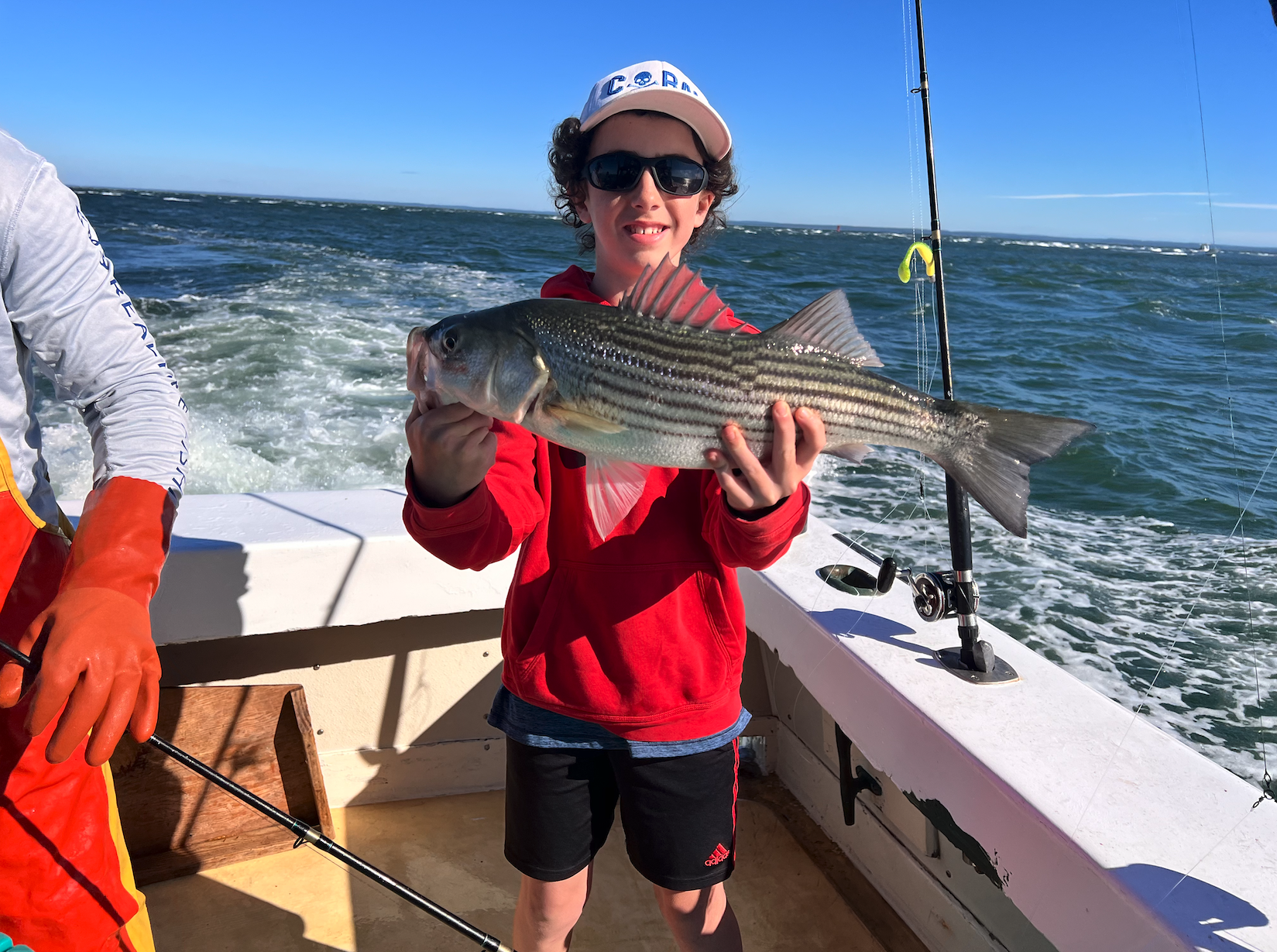 Striped bass regulations to remain unchanged - The Suffolk Times