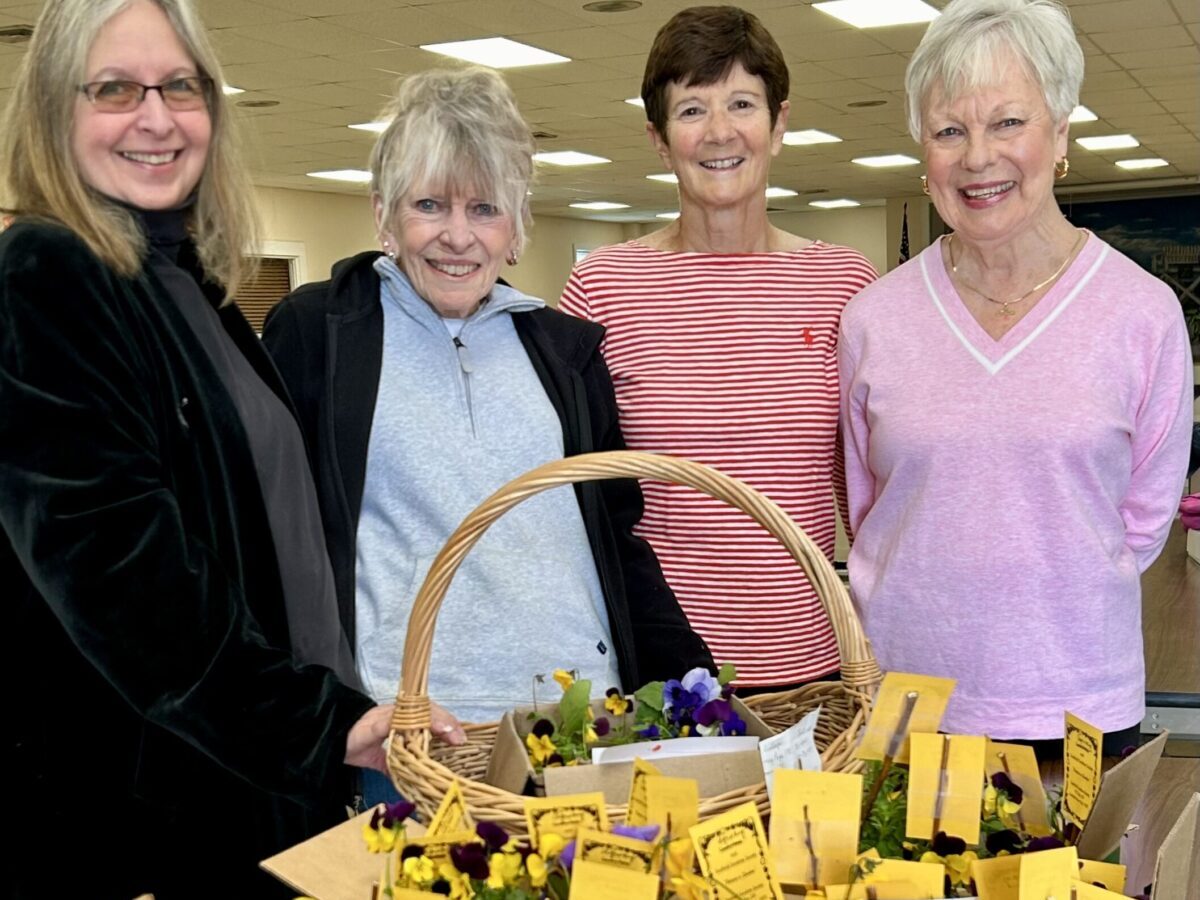 Southold Sunshine Society shines on post centennial - The Suffolk Times