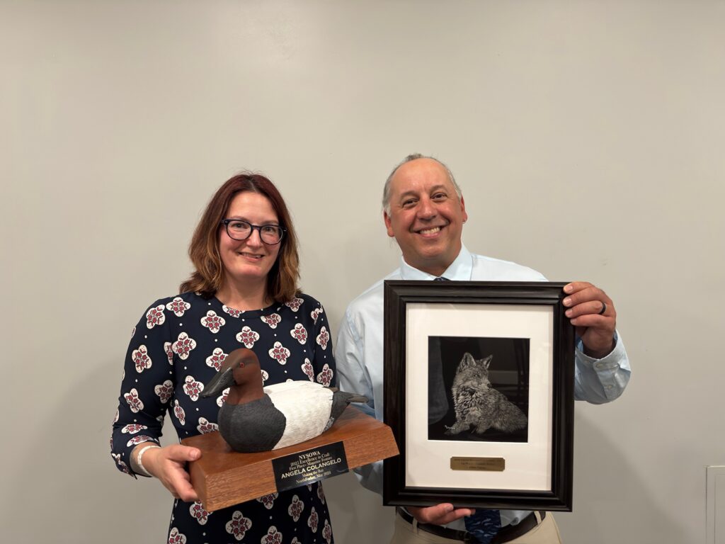 Suffolk Times' Angela Colangelo wins big at writers conference - The ...