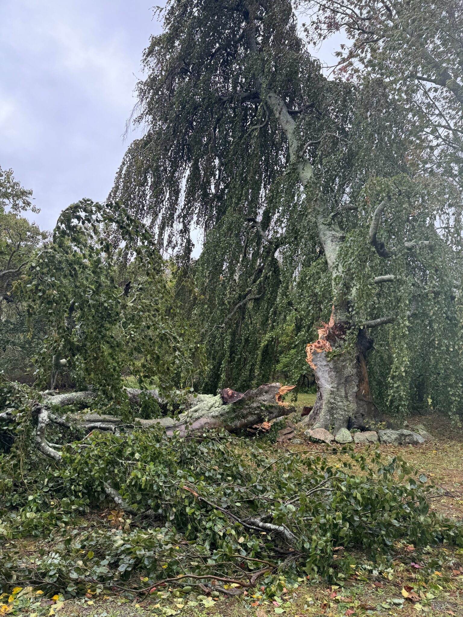 Nor’easter winds, rain strike the North Fork - The Suffolk Times