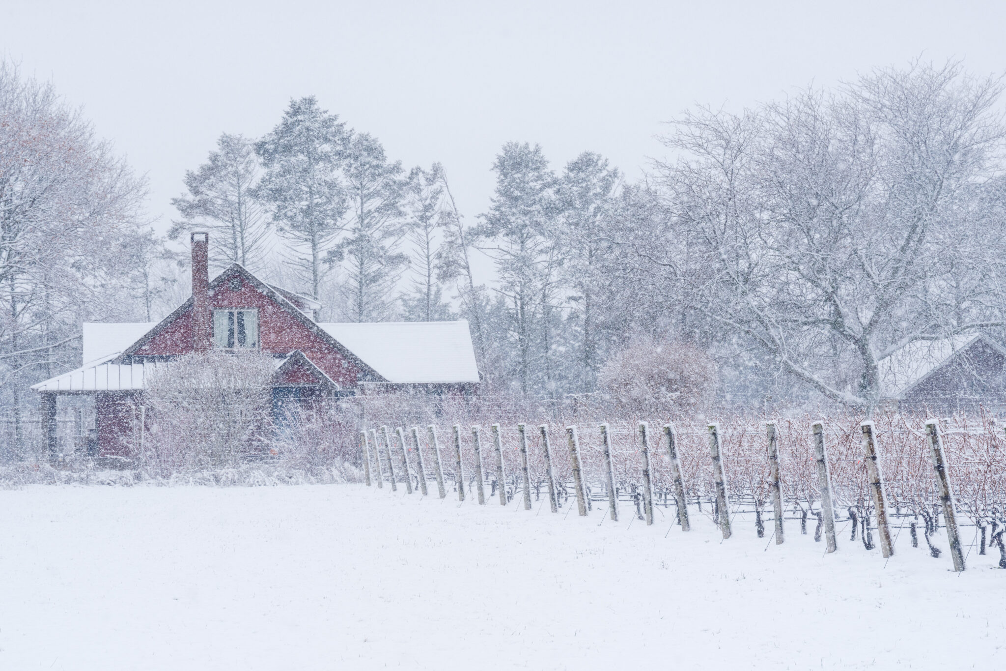 When the first snow falls on the North Fork - The Suffolk Times