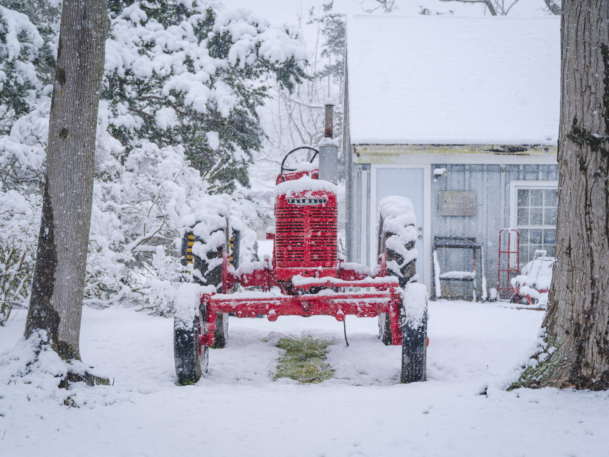 Photo gallery: First snowfall of season on North Fork - The Suffolk Times