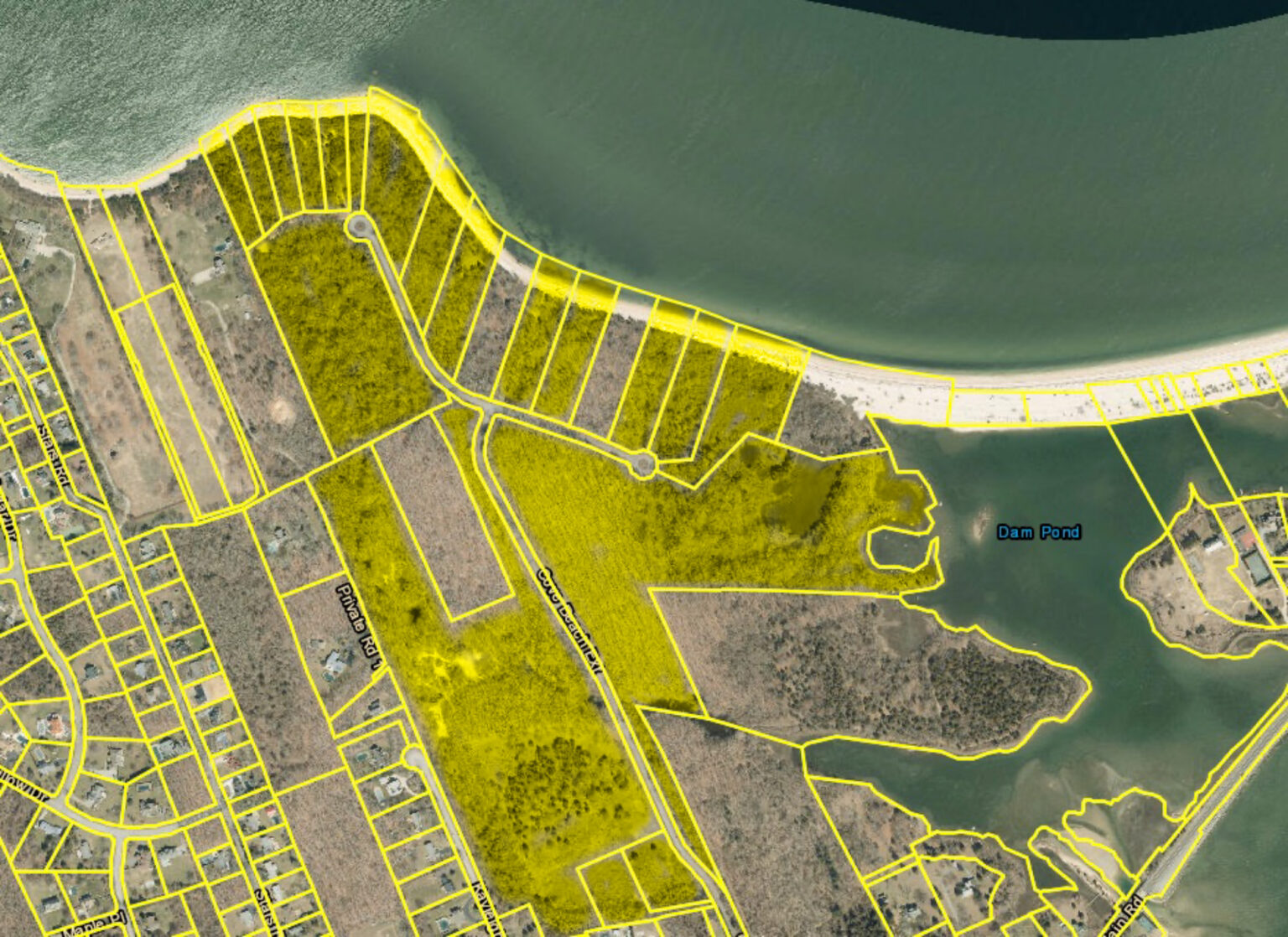 Apollo CEO Marc Rowan buys 100+ acres of East Marion shoreline for ...
