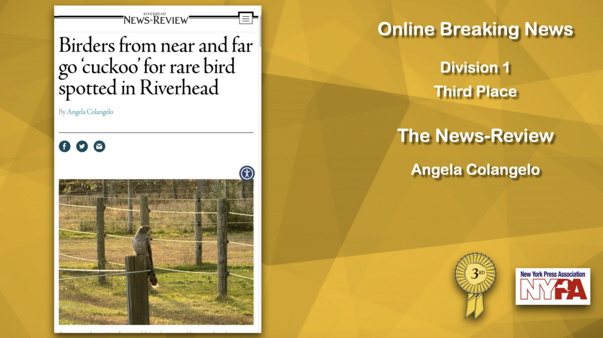 TRMG staff earn top honors at NY Press Association awards - The Suffolk ...