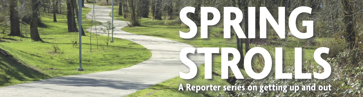 Shelter Island Spring Stroll: 5K hills and beach walk - Shelter Island ...