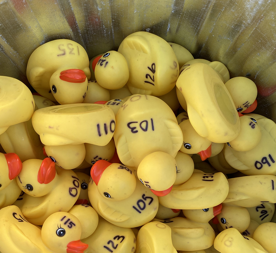 Duck Race stays in the swim: Support helps keep Chamber afloat ...