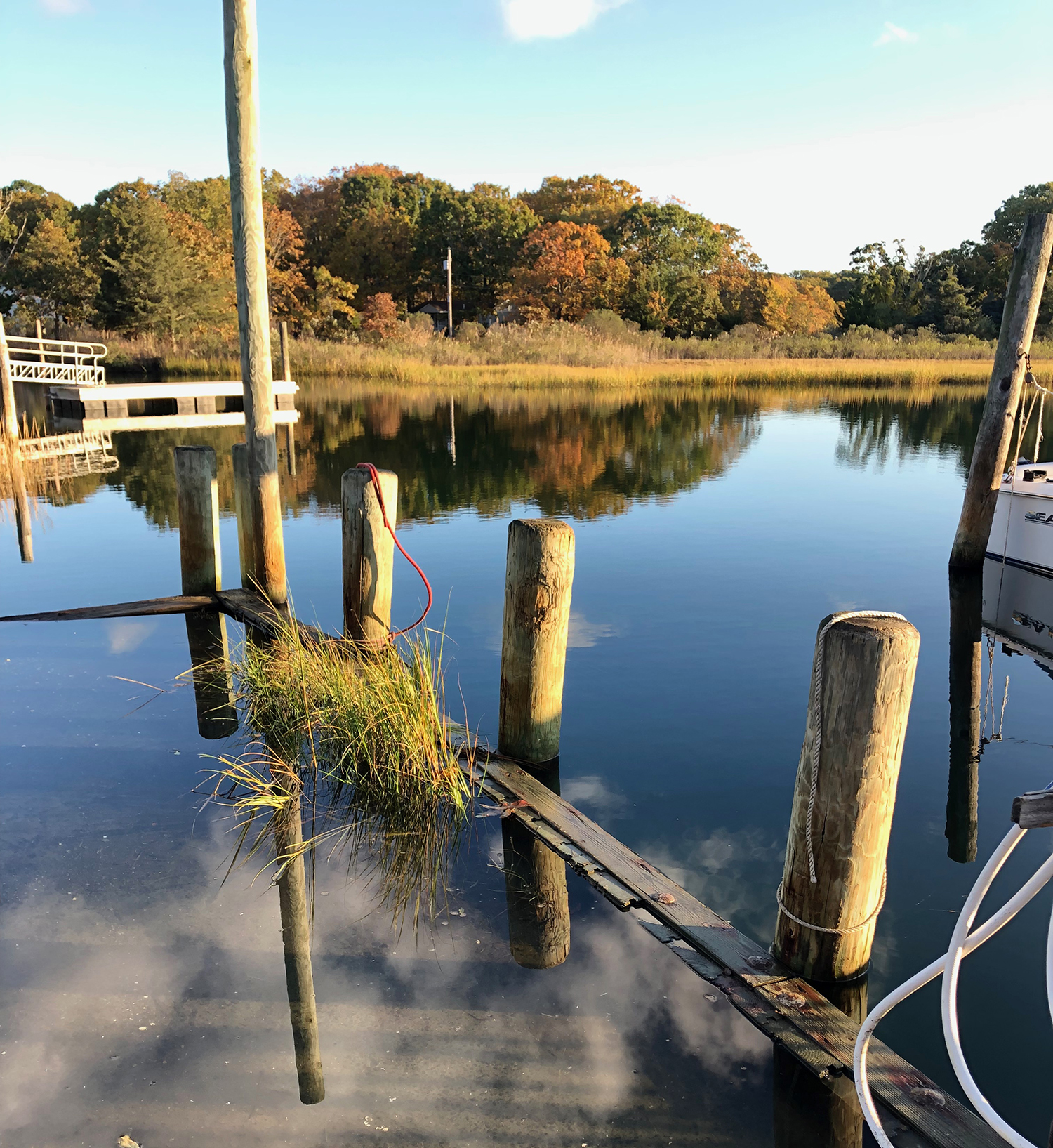 Meager haul on opening day for scallops - Shelter Island Reporter Archives