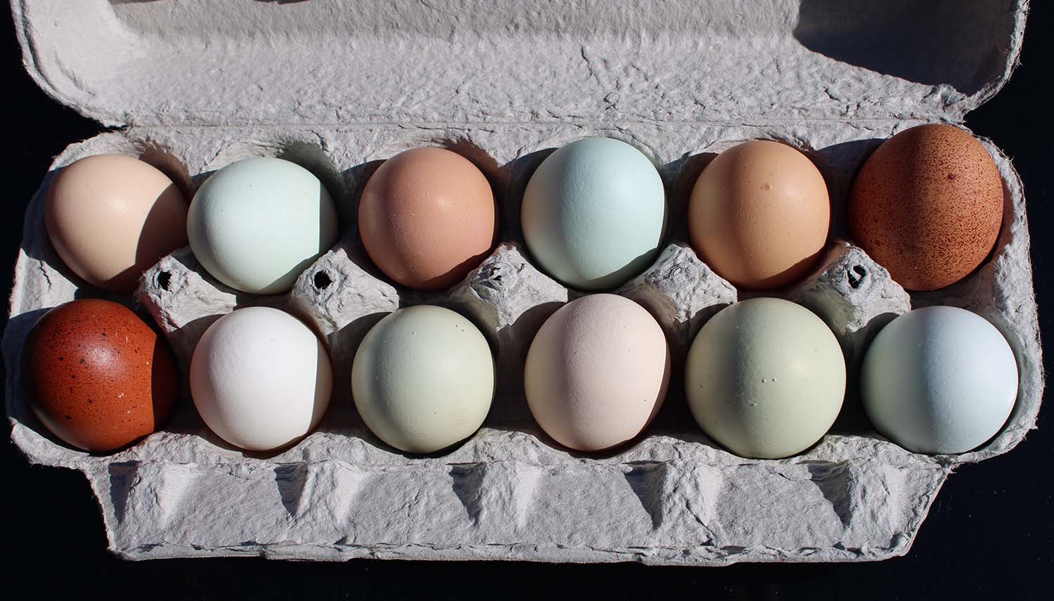 Celebrating the joy of the egg - Shelter Island Reporter