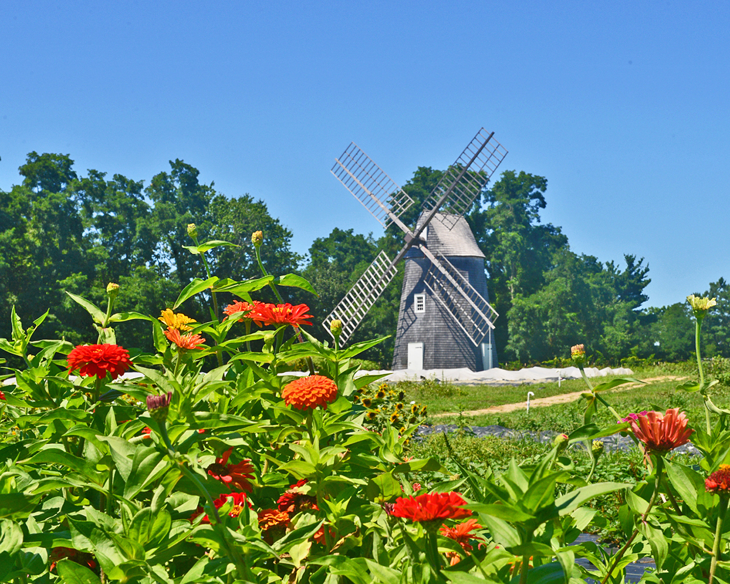 Windmill Cocktail Party coming up: Fundraiser for continuing ...